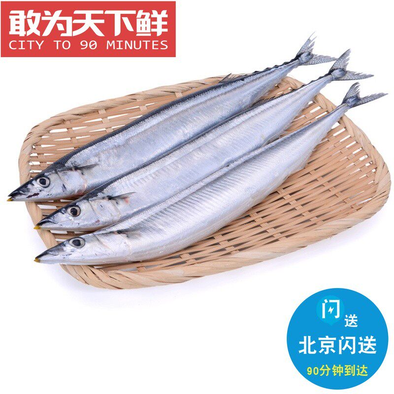 3-4条 500g 新鲜秋刀鱼北海道日料食材 烧烤海鲜 冷冻水产