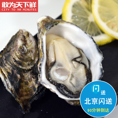 鲜活生蚝牡蛎马尔伯勒