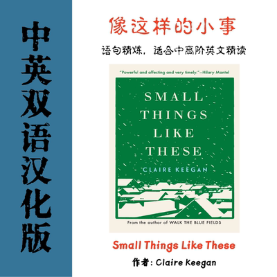 Small Things Like These 像这样的小事电子资料 当代文学