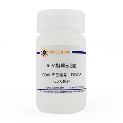 P0013B-100ml RIPA裂解液(强)