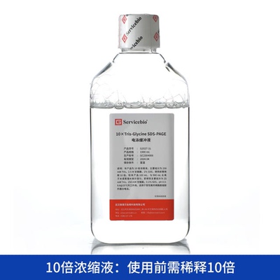 SDS-PAGE Tris-甘氨酸电泳缓冲液干粉即用型G2018 G2144