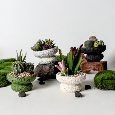 室内落地多肉小盆栽摆件