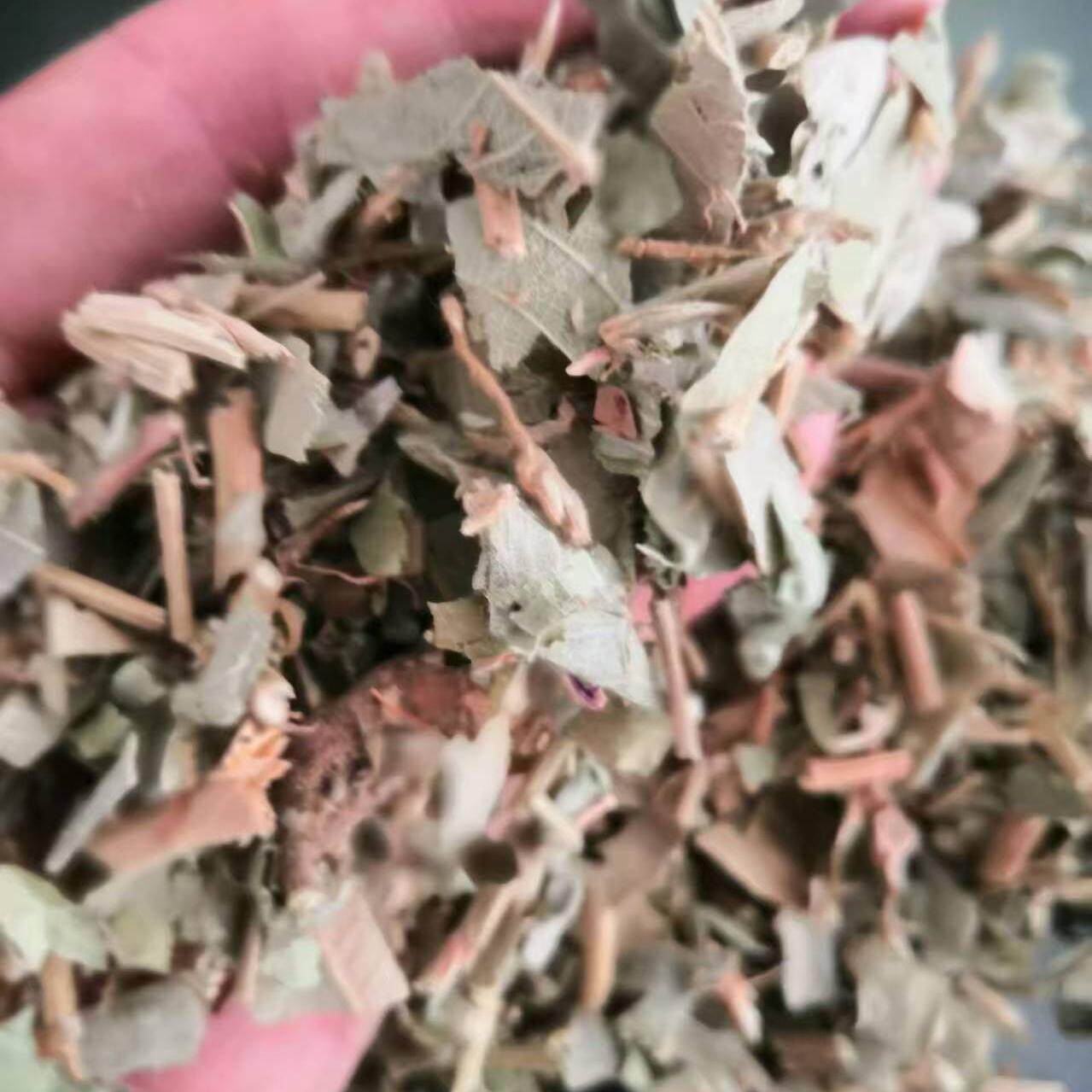 正宗陕西汉中野生金钱草500克中药材大叶广金钱草干 500克金钱草