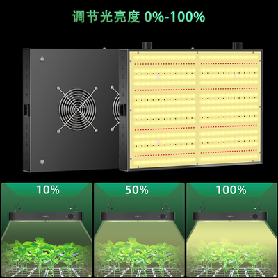 全光谱太阳灯植物生长灯龙舌兰
