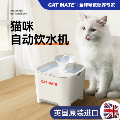 英国Catme贝壳饮水机猫咪