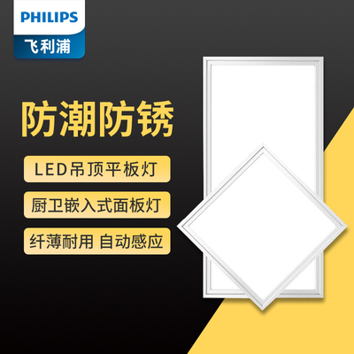 飞利浦集成厨卫嵌入式吊顶灯