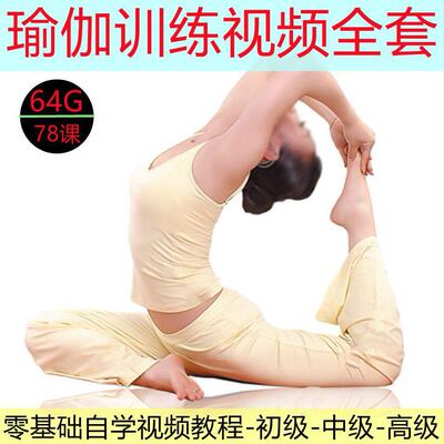 王蕊25天经络瑜伽课阴阳补中老年