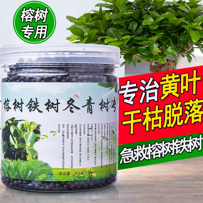 榕树专用肥料小叶榕肥人参榕营养液盆栽榕树复合肥有机颗粒缓释肥