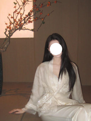 新中式国风刺绣网纱外套女
