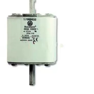 熔断器170M8632 450A 690V aR 170M8623/8637/8642直拍直拍不发货