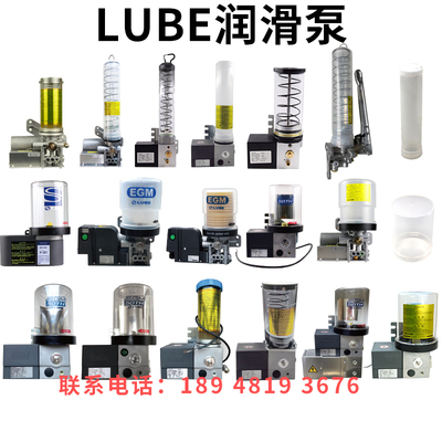 进口原装LUBE润滑泵电动油脂泵