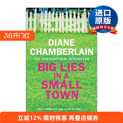 英文原版 Big Lies in a Small Town 小镇大谎 历史悬疑心理小说 Diane Chamberlain 英文版 进口英语原版书籍