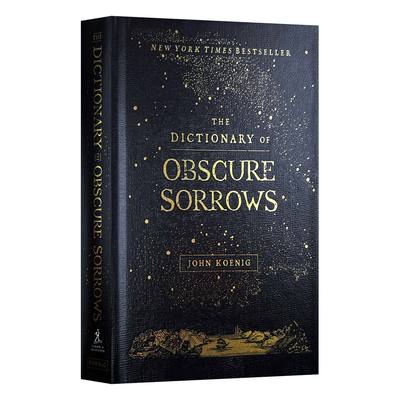 The Dictionary of Obscure Sorrows  无名悲伤辞典 精装进口书籍英文原版