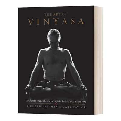 The Art of Vinyasa 串联瑜伽的艺术进口原版英文书籍