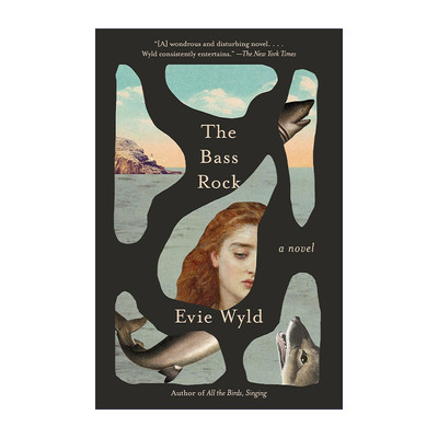 The Bass Rock 低音摇滚 女性历史小说 Evie Wyld进口原版英文书籍