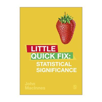 英文原版 Statistical Significance 如何理解统计显著性 定量研究统计学小手册 英文版 进口英语原版书籍