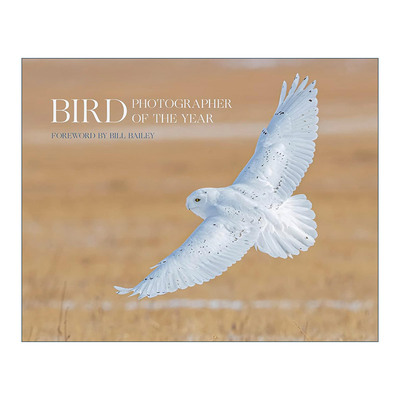 英文原版 Bird Photographer of the Year Collection 6 世界鸟类摄影比赛 精装野生鸟类图册 英文版 进口英语原版书籍