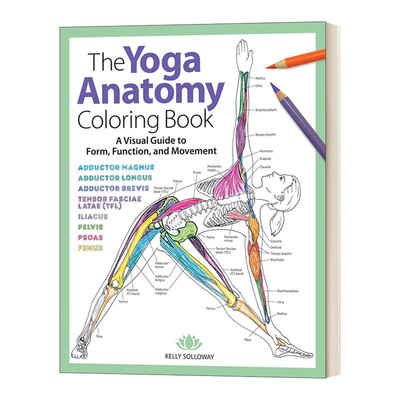 Yoga Anatomy Coloring Book 瑜伽解剖填色书进口原版英文书籍