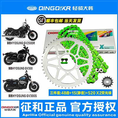 轻骑大韩骁胜HYOSUNG GV250 GV300 GV300S征和静音油封链条牙盘