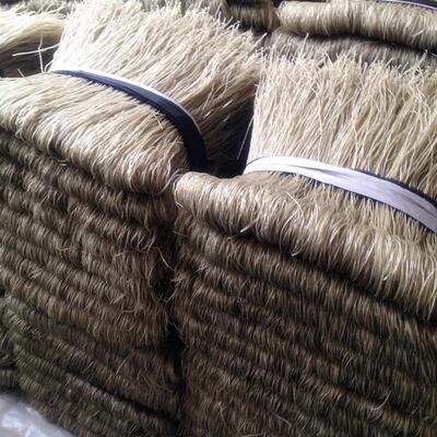 新品东塍豆面红薯粉丝浙江台州府城临海土特产番薯面粉条酒店用