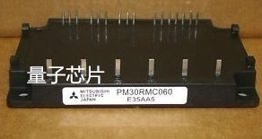 PM30RMC060
