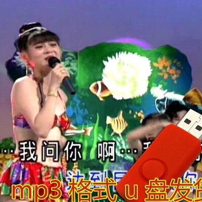 十二大美女歌曲U盘闽南语台语车载优盘经典老歌花仙子无视频
