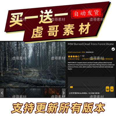 UE5 虚幻5资源包 燃烧的森林 MW Burned Dead Trees Forest Biome
