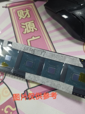 南桥芯片正式版坏件SR406