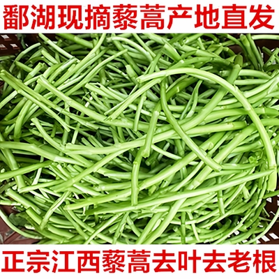 5斤江西鄱阳湖藜蒿去叶包嫩芦蒿