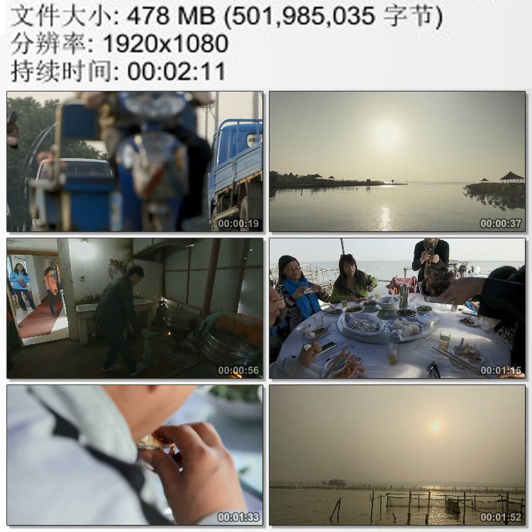 阳澄湖大闸蟹 包装快递运输 品尝海鲜美味 水产养殖 高清视频素材