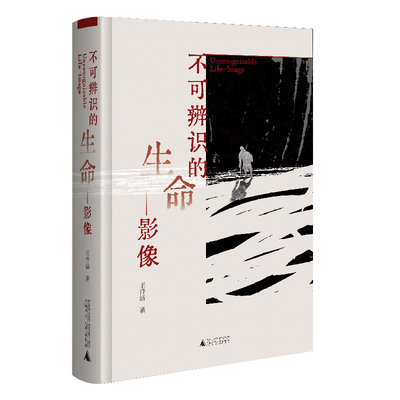 不可辨识的生命—影像 融合文化研究、后现代视角与图像学，评析戏剧影视艺术，洞察社会思潮，思想美学并重