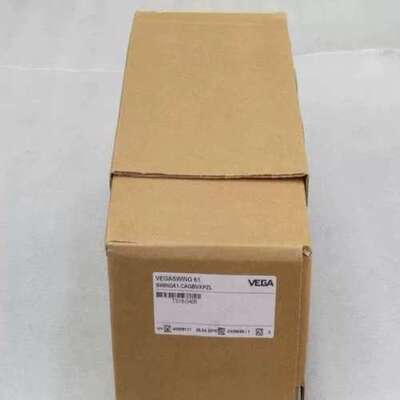 VEGA威格音叉液位开关VEGASWING61 SW