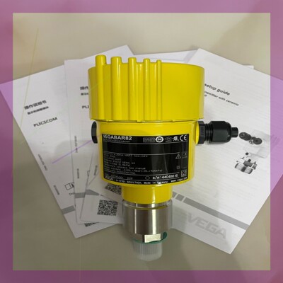 VEGABAR82压力变送器 B82.AXDNSAGBSHXAIMAM