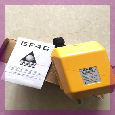 TER偏航扭缆开关GF4C PF090301000122