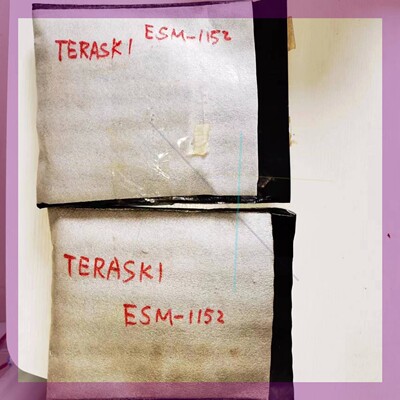 ESM-1152  TERASAKI STARTER MOUDLE