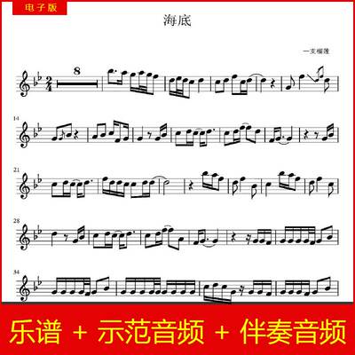 海底_一支榴莲 小提琴谱 热门治愈伤感 示范+伴奏音频 4级2页