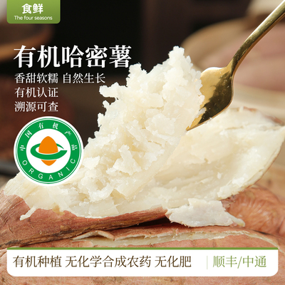 有机红薯哈蜜薯冰糖薯冰淇淋白心番薯自然成熟蒸煮烤地瓜软糯香甜