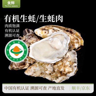 有机生蚝海蛎子牡蛎生蚝肉肉质饱满蒸煮烤制煲汤生鲜食材源头直发