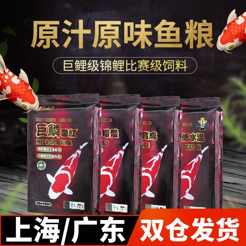 鱼食神阳巨鳞赛级锦鲤育成增体增色颗粒鱼粮易消化鱼10公斤饲料