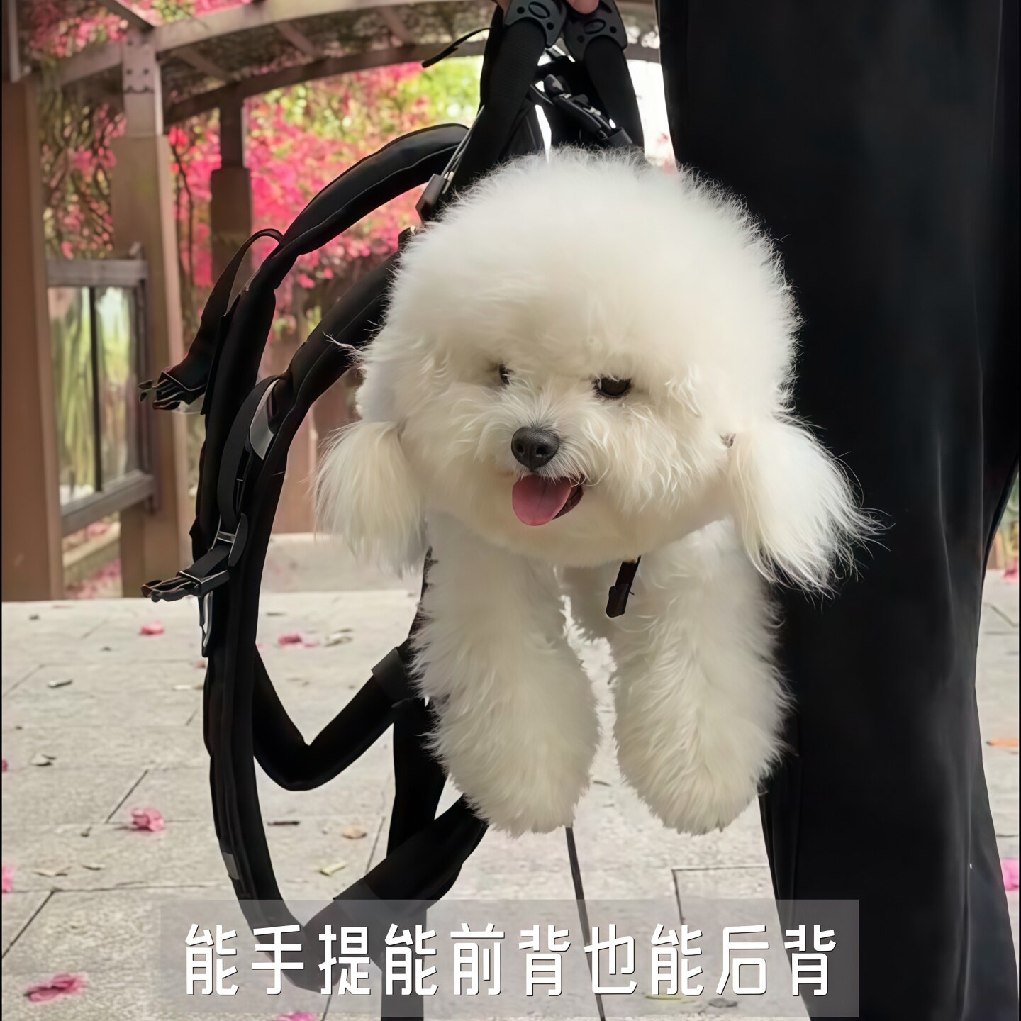 wakytu英国宠物战术横背带护脊双肩背包狗狗小中型犬便携外出旅行