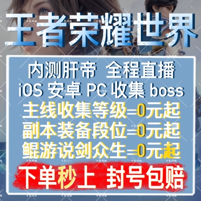 王者荣耀世界代打ios代练肝等级