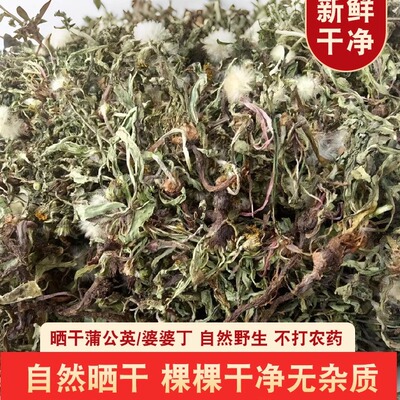 野生晒干蒲公英婆婆农家自晒无硫