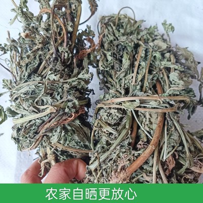 四川野生马鞭草马鞭梢铁马鞭马边草山上采摘自己晒的无熏硫500克
