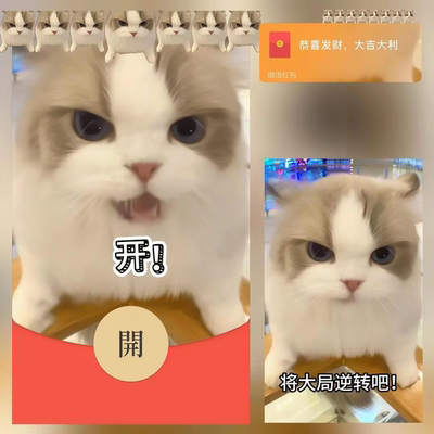 oiia猫meme微信红包封面可爱旋转猫咪创意VX皮肤开！将大局逆转吧
