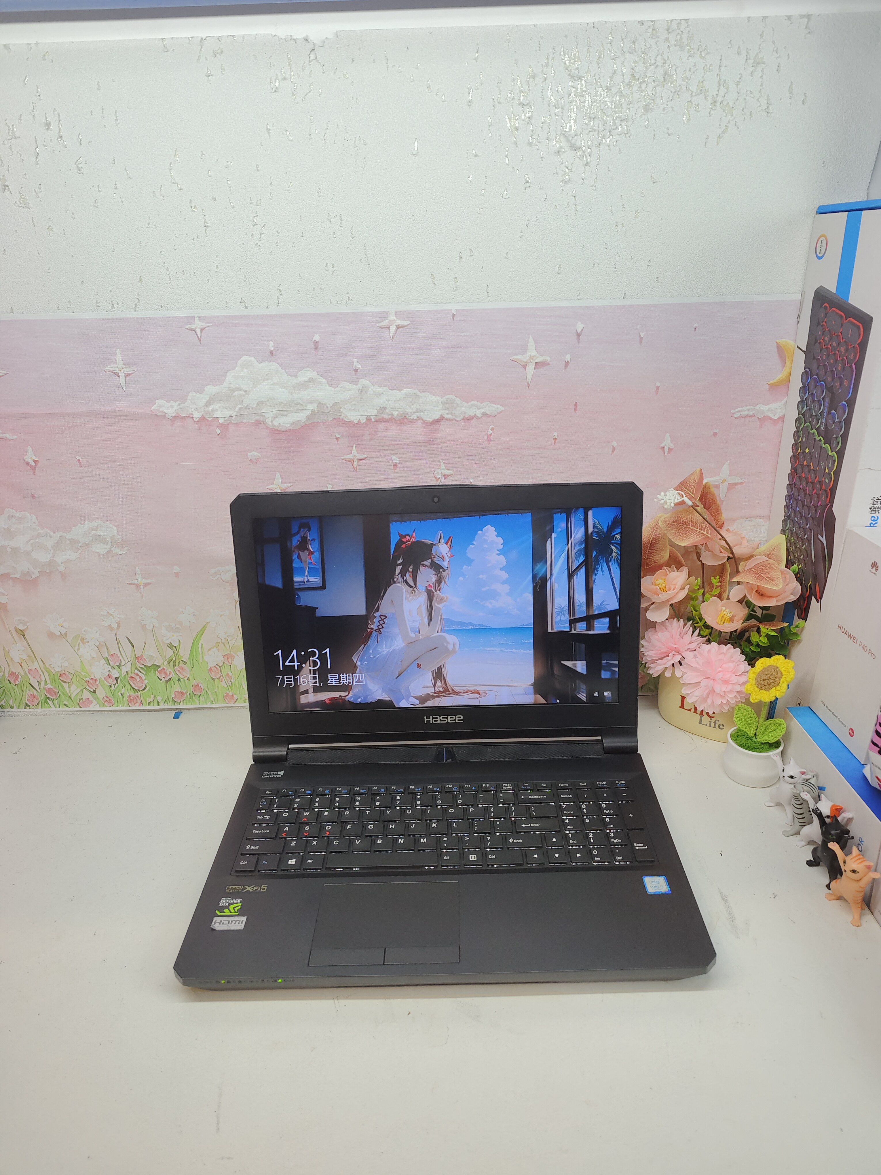 二手神舟P65xHP高性能游戏本7代i7 GTX1060 6G独显 512G固态硬盘
