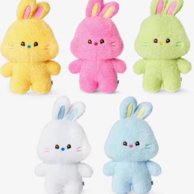 NJS 新牛仔裤公仔娃娃BUNINI快闪 鲸玩偶公仔MINJI金文池 HAERIN