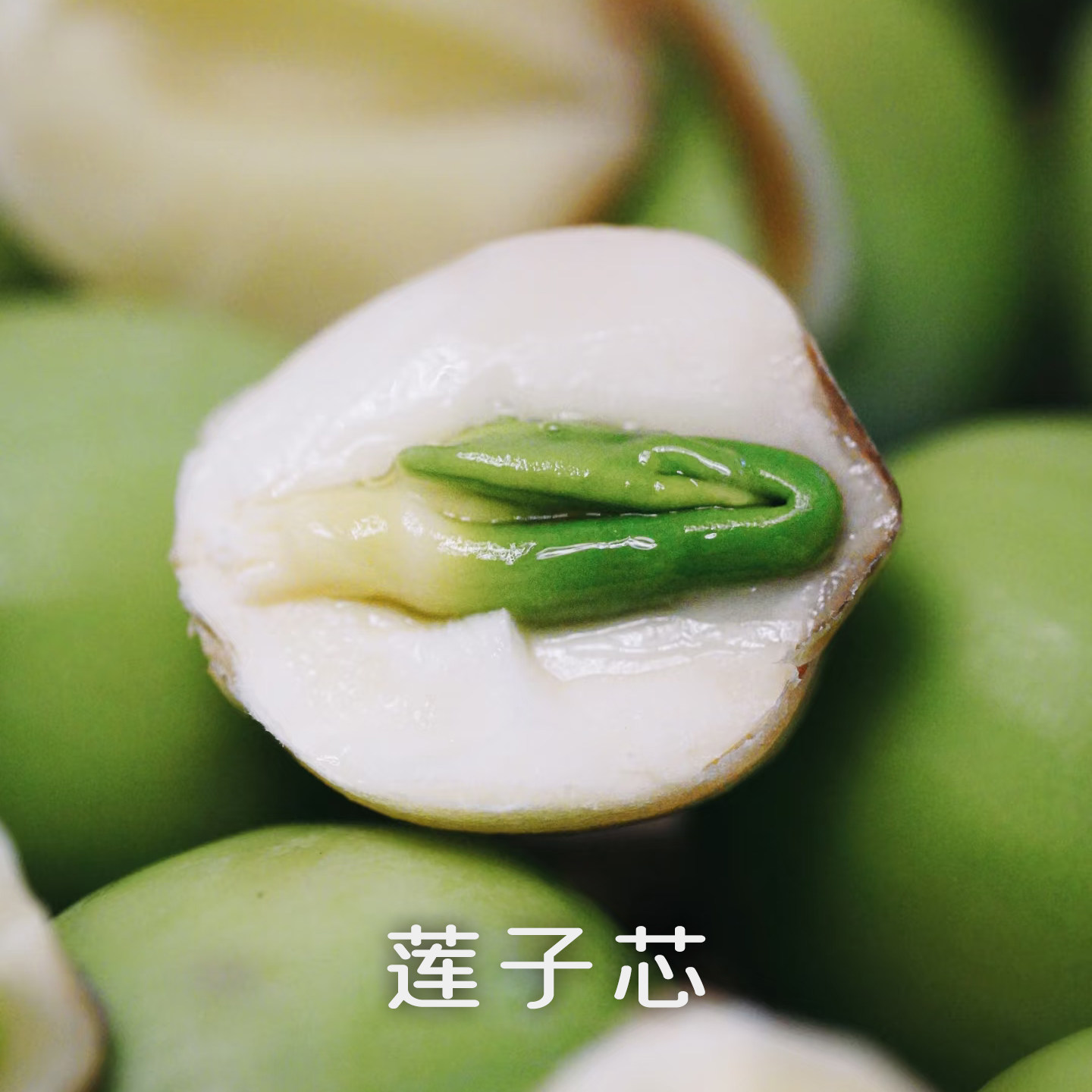 喜己食养·莲子芯茶丨建宁特产正品旗舰精品头茬莲子心天然无硫