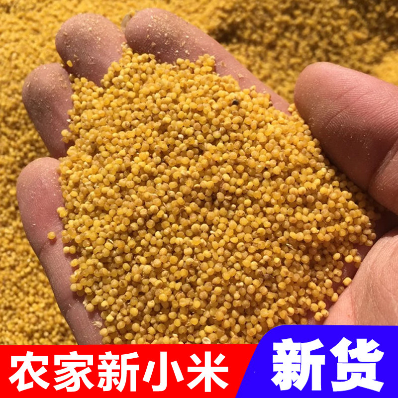 农家小米新五谷杂粮小黄米粥糯黏稠宝宝月子米湖北十堰大柳特产