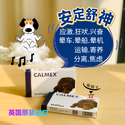 宠特宝狗晕车分离焦虑寄养高反