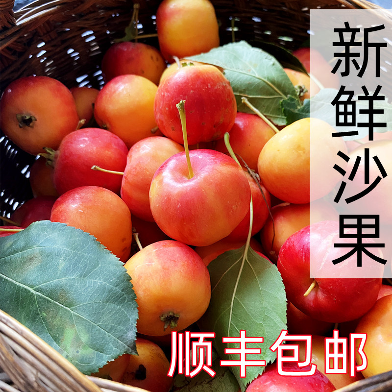 内蒙沙果新鲜 赤峰农家酸甜沙果非123小苹果东北K9海棠果孕妇水果